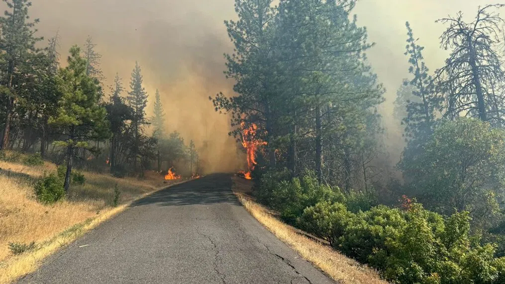 Klamath Basin News, Friday, 7/12/24 - Shelly Fire Over 9,000 Acres-0% ...